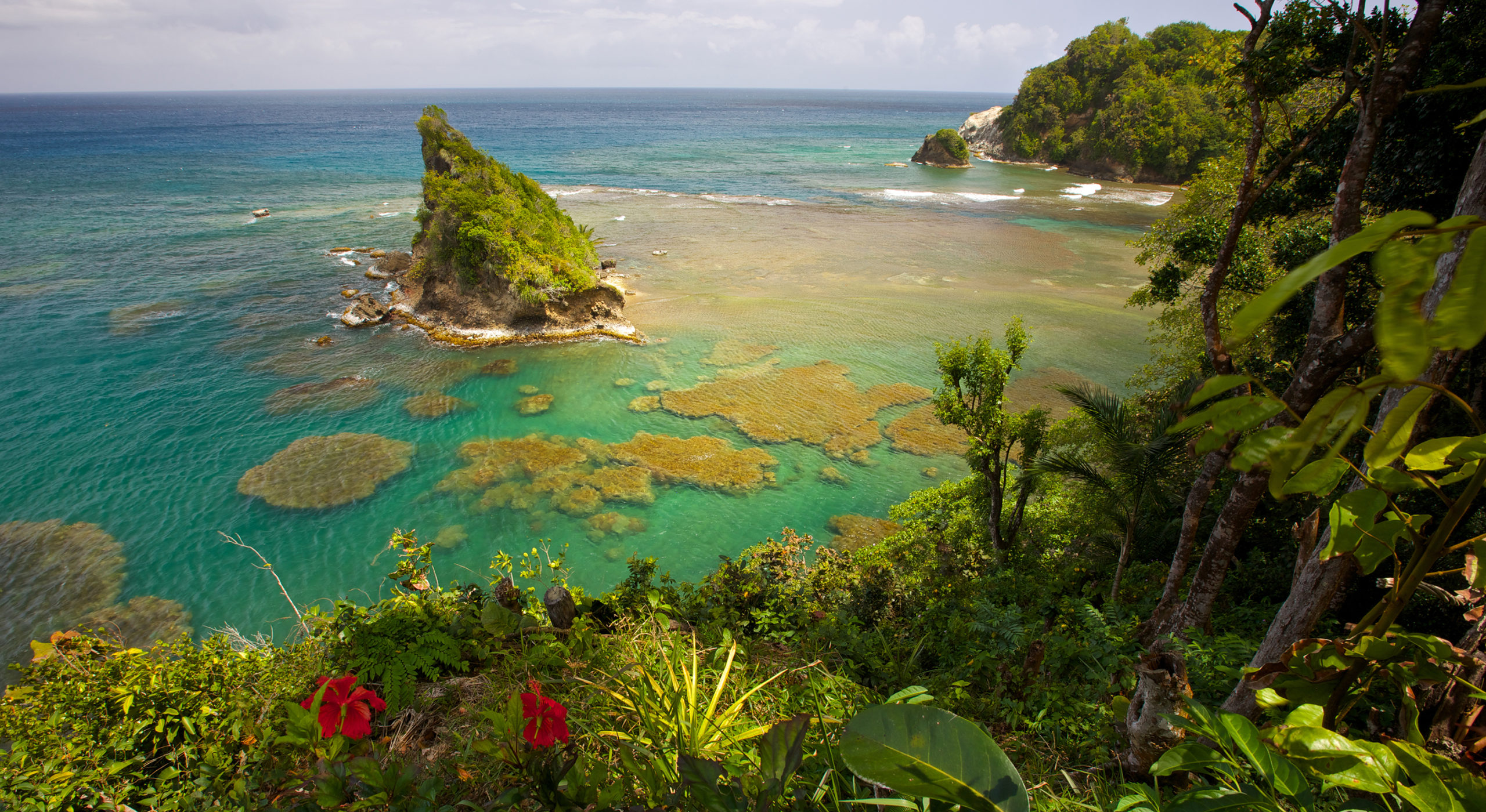 La Dominique l'île Nature, Randonnée et Plongée ! | Link Mundo Voyages